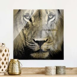 Bilderwelten Glasbild Tiere Motiv schwarz weiss Glas Wandbild - Alter L&ouml;we - Deko Wohnzimmer Schlafzimmer
