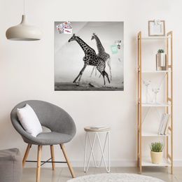 Bilderwelten Glasbild Tiere Motiv schwarz weiss Glas Wandbild - Giraffenjagd - Deko Wohnzimmer Schlafzimmer