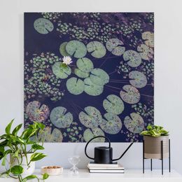 Bilderwelten Leinwandbild Tropisch Kunstdruck blau - Seerosenbl&uuml;te im Teich - Wandbild XXL Wohnzimmer Schlafzimmer
