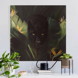 Bilderwelten Leinwandbild Panther im Dschungel