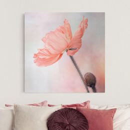 Bilderwelten Leinwandbild Blumen modern Kunstdruck pastell - Mohnblumen Close-Up - Mohn XXL Wohnzimmer Schlafzimmer
