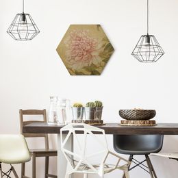 Bilderwelten Alu-Dibond Bild Hexagon originell beige modern - Yun Shouping - Chrysantheme - Deko Wohnzimmer Schlafzimmer