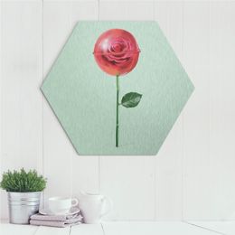 Bilderwelten Alu-Dibond Bild Hexagon Blumen gr&uuml;n Fotomontage - Rose mit Lollipop - Rose Wohnzimmer Schlafzimmer