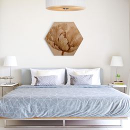 Bilderwelten Alu-Dibond Bild Hexagon Blumen beige Illustration - Sepia Tulpe auf Holz - Deko Wohnzimmer Schlafzimmer
