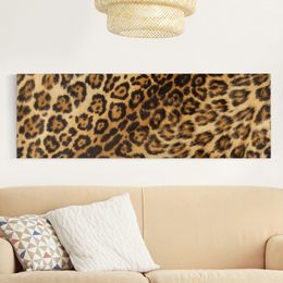Bilderwelten Leinwandbild - Panorama Jaguar Skin
