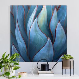 Bilderwelten Leinwandbild Tropisch Kunstdruck t&uuml;rkis - Flammende Agave - Wandbild XXL Wohnzimmer Schlafzimmer