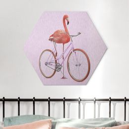 Bilderwelten Alu-Dibond Bild Hexagon Tiere rosa Fotomontage - Flamingo mit Fahrrad - Fahrzeuge Wohnzimmer Schlafzimmer
