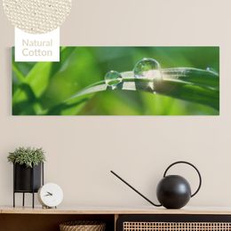 Bilderwelten Leinwandbild - Panorama Green Ambiance II
