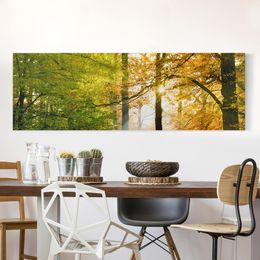 Bilderwelten Leinwandbild - Panorama Morning Light