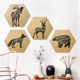 Bilderwelten 4-teiliges Hexagon-Alu-Dibond Bild Tiere mit Weisheit Set I