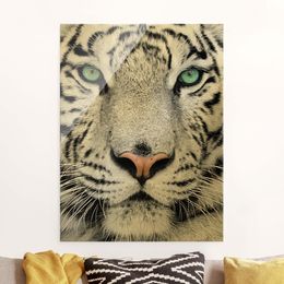 Bilderwelten Glasbild Tiere modern schwarz weiss Glas Wandbild - Wei&szlig;er Tiger - Deko Wohnzimmer Schlafzimmer