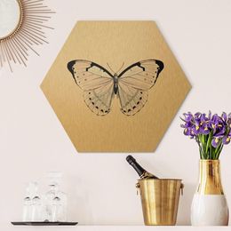 Bilderwelten Alu-Dibond Bild Hexagon Tiere beige Illustration - Schmetterling auf Beige - Schmetterlinge Wohnzimmer Schlafzimmer