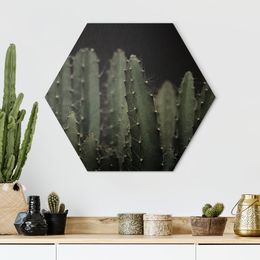 Bilderwelten Alu-Dibond Bild Hexagon schwarz Motiv - W&uuml;stenkaktus bei Nacht - Deko Wohnzimmer Schlafzimmer