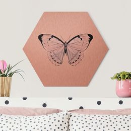 Bilderwelten Hexagon-Alu-Dibond Bild Schmetterling auf Beige