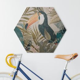 Bilderwelten Alu-Dibond Bild Hexagon Tiere t&uuml;rkis Landhaus - Vintage Collage - Tukan im Dschungel - Pflanzen Wohnzimmer Schlafzimmer