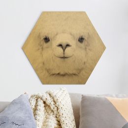 Bilderwelten Alu-Dibond Bild Hexagon Tiere weiss Motiv - L&auml;chelndes Alpaka - Deko Kinderzimmer Baby M&auml;dchen Jungen
