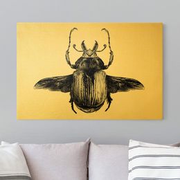 Bilderwelten Leinwandbild Illustration fliegender K&auml;fer Schwarz