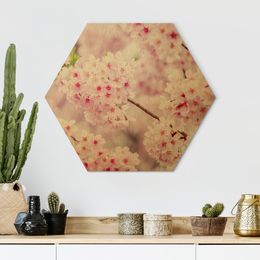 Bilderwelten Alu-Dibond Bild Hexagon Blumen rosa Motiv - Japanische Kirschbl&uuml;ten - Kirschbl&uuml;te Wohnzimmer Schlafzimmer