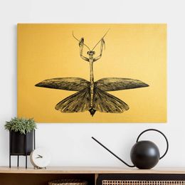 Bilderwelten Leinwandbild Illustration stolze Mantis Schwarz