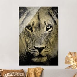 Bilderwelten Glasbild Tiere Motiv schwarz weiss Glas Wandbild - Alter L&ouml;we - Deko Wohnzimmer Schlafzimmer