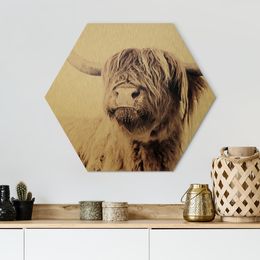 Bilderwelten Alu-Dibond Bild Hexagon Tiere beige Motiv - Hochlandrind Frida in Beige - Deko Wohnzimmer Schlafzimmer
