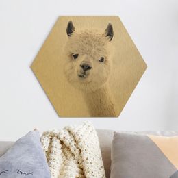 Bilderwelten Alu-Dibond Bild Hexagon Tiere weiss Motiv - Alpaka Portrait - Deko Kinderzimmer Baby M&auml;dchen Jungen