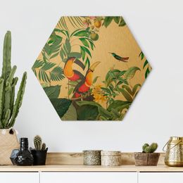 Bilderwelten Alu-Dibond Bild Hexagon Tiere bunt Vintage - Vintage Collage - V&ouml;gel im Dschungel - Retro Wohnzimmer Schlafzimmer