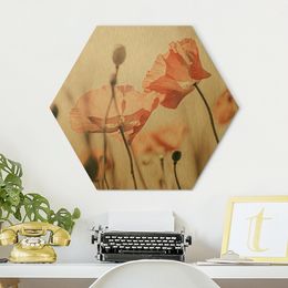 Bilderwelten Alu-Dibond Bild Hexagon Blumen rot Motiv - Mohnbl&uuml;ten im Sommerwind - Mohn Wohnzimmer Schlafzimmer