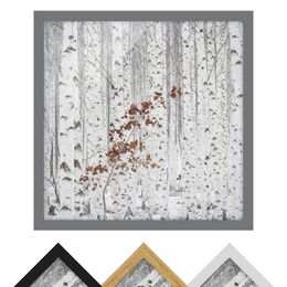 Bilderwelten Bild mit Rahmen - Quadrat Birken im Herbst