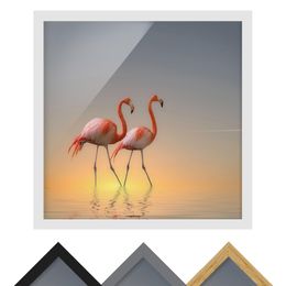 Bilderwelten Bild mit Rahmen - Quadrat Flamingo Love