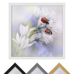 Bilderwelten Bild mit Rahmen Blumen violett Motiv inkl. Rahmung - Marienk&auml;fer Paar - Deko Wohnzimmer Schlafzimmer