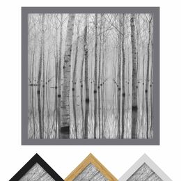 Bilderwelten Bild mit Rahmen - Quadrat Birken im November