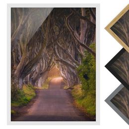 Bilderwelten Bild mit Rahmen Wald beige Motiv 3D-Effekt - Tunnel aus B&auml;umen - B&auml;ume Wohnzimmer Schlafzimmer