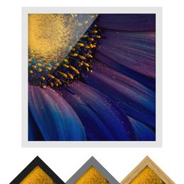 Bilderwelten Bild mit Rahmen Blumen violett Motiv inkl. Rahmung - Blaue Gerberabl&uuml;te - Deko Wohnzimmer Schlafzimmer