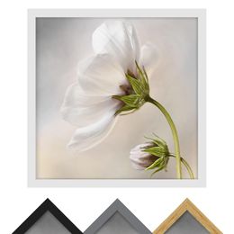 Bilderwelten Bild mit Rahmen Blumen beige Landhaus inkl. Rahmung - Himmlischer Bl&uuml;tentraum - Deko Wohnzimmer Schlafzimmer