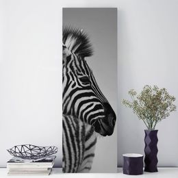 Bilderwelten Leinwandbild - Hochformat Zebra Baby Portrait II