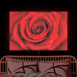 LED-Wechselbild Rote Rose mit Wassertropfen