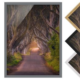 Bilderwelten Bild mit Rahmen - Hochformat Tunnel aus B&auml;umen