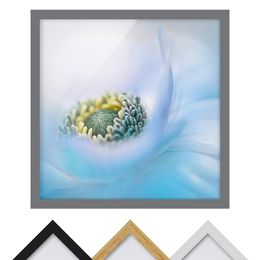 Bilderwelten Bild mit Rahmen - Quadrat Anemone auf dem Fluss