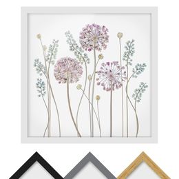 Bilderwelten Bild mit Rahmen Blumen einzigartig Landhaus inkl. Rahmung - Allium Illustration - Deko Wohnzimmer Schlafzimmer