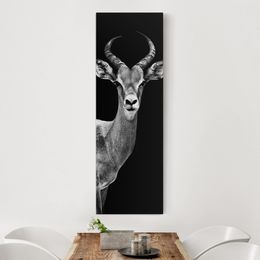Bilderwelten Leinwandbild - Hochformat Impala Antilope schwarz-wei&szlig;
