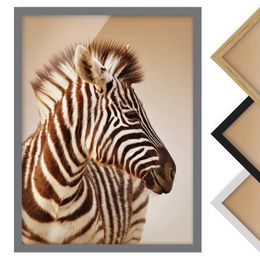 Bilderwelten Bild mit Rahmen - Hochformat Zebra Baby Portrait