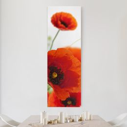Bilderwelten Leinwandbild - Hochformat Radiant Poppies