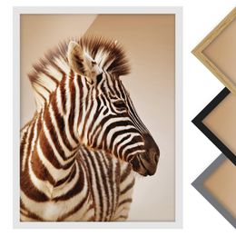 Bilderwelten Bild mit Rahmen Tiere beige Motiv inkl. Rahmung - Zebra Baby Portrait - Zebra Wohnzimmer Schlafzimmer