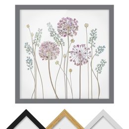Bilderwelten Bild mit Rahmen - Quadrat Allium Illustration