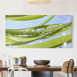 Bilderwelten Leinwandbild - Querformat Fresh Green
