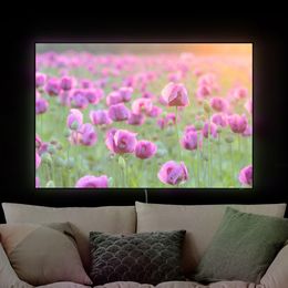 LED-Wechselbild Violette Schlafmohn Blumenwiese im Fr&uuml;hling
