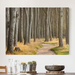 Bilderwelten Leinwandbild - Querformat Waldweg in Norddeutschland