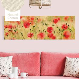 Bilderwelten Leinwandbild - Panorama Summer Poppies