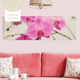 Bilderwelten Leinwandbild - Panorama Nahaufnahme Orchidee